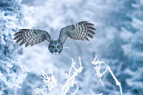 Photographer Spotlight Zack Gacnik The Prospector