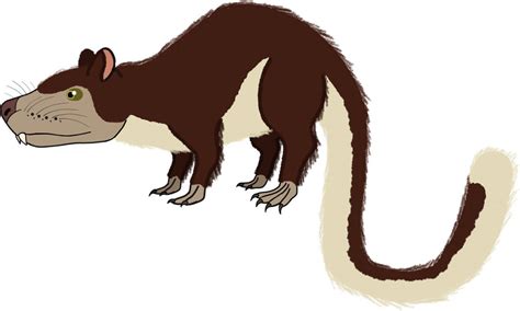 Plesiadapis By Paleofauna On Deviantart