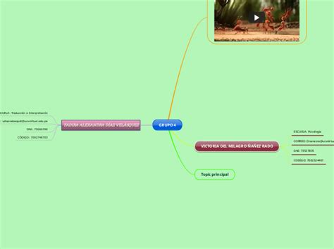 Grupo 4 Mind Map