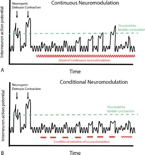 Depolarization Of Neurons With Continuous A Or Conditional B