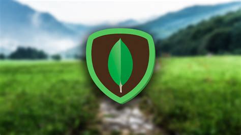 curso de mongodb aprende bases de datos nosql victor robles