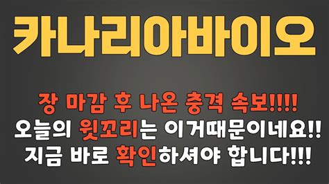 카나리아바이오 주식 016790 카나리아바이오ir 외인 카나리아바이오엠 카나리아바이오무상증자 카나리아바이오주가전망 카나리아바이오합병 카나리아바이오현대사료 Youtube