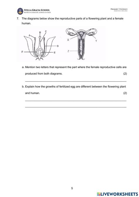 P5 Human Repro… Free Interactive Worksheets 1569090