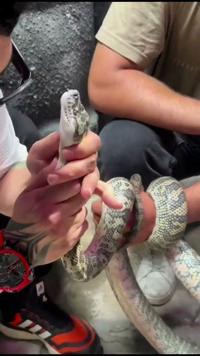 کانال داداش کوچیکه تون رو حمایت میکنید 🤓 ویدیو برای قبل هستآرامش کلیپ