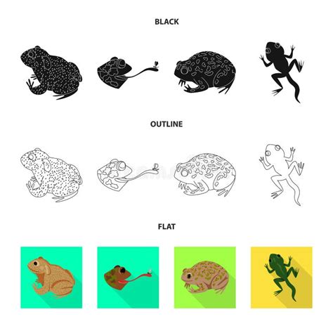 Isolated Object Of Wildlife And Bog Symbol Set Of Wildlife And Reptile Stock Symbol For Web