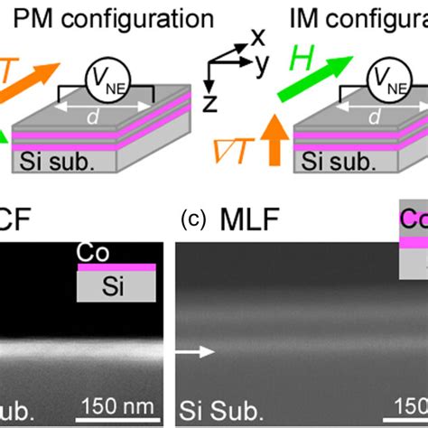 Color Online Schematic Of Ferromagnetic Metal Semiconductor Download Scientific Diagram