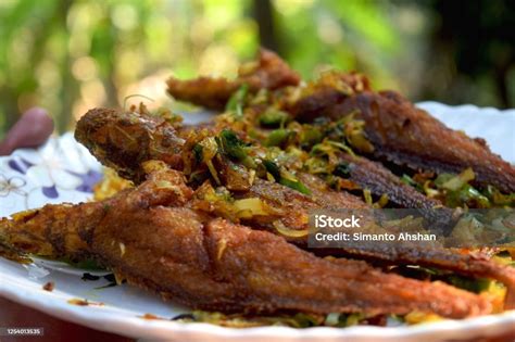 흰 접시에 튀긴 크로커 생선 튀긴 생선접시를 들고 있는 손 바다 물고기 튀김 굽기에 대한 스톡 사진 및 기타 이미지 굽기 0명 고기 Istock