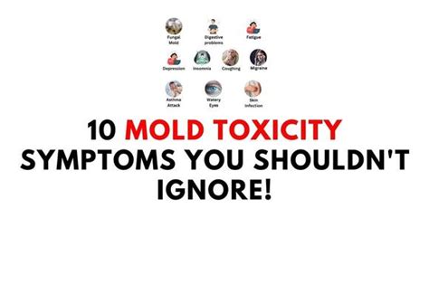 10 Mold Toxicity Symptoms You Shouldnt Ignore Lifeyet