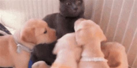 When Im On User Support Duty For The Week The Coding Love