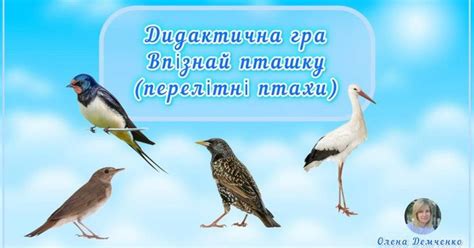 Дидактична гра Впізнай пташку на закріплення уявлення та знань про перелітних птахів