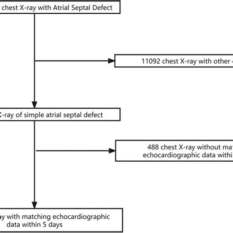 Review And Allocation Flowchart Download Scientific Diagram