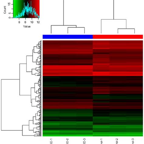 two way supervised clustering of differentially expressed genes and