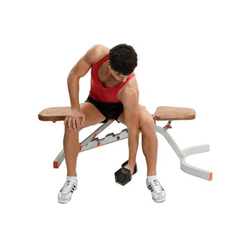 Concentration Curl Exercise How To Workout Trainer By Skimble Concentration Curl Exercise How To Workout Trainer By Skimble