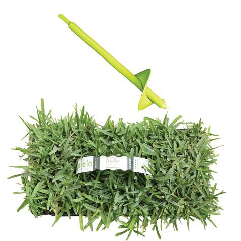 Sod Pods St Augustine Floratam Sodgrass Plugs 32 Countsp Power Planter Bundle Natural