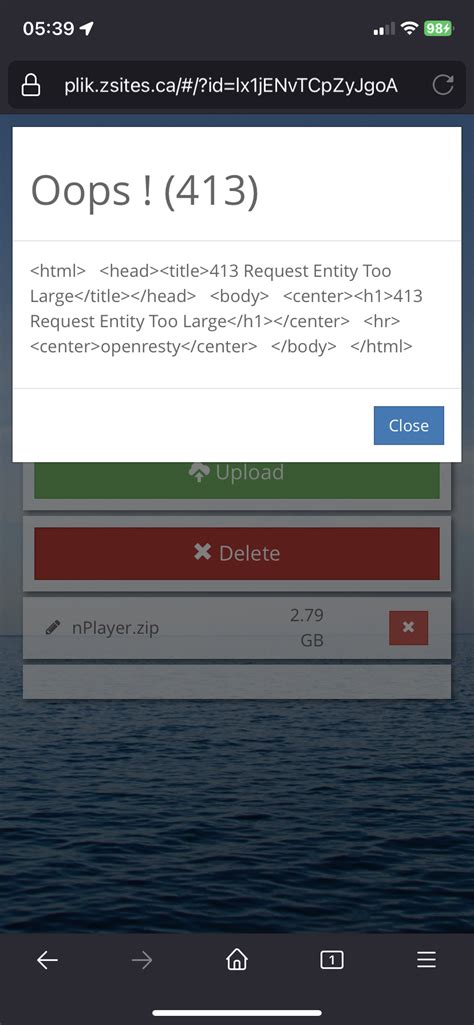 Request Entity Too Large When Trying To Upload A Large File · Issue