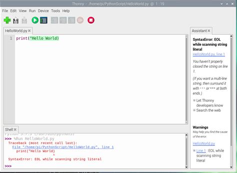 Raspberry Pi Python Coding — Saschofield
