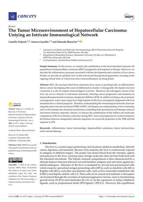 Pdf The Tumor Microenvironment Of Hepatocellular Carcinoma Untying