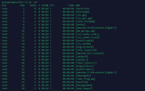 how to check running processes in linux