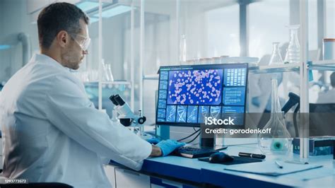 약물을 개발하는 생명 공학 과학자의 다양한 다민족 팀과 의료 과학 실험실 유전자 편집 인터페이스를 보여주는 디스플레이와 컴퓨터에서 작업 미생물학자 Dna에 대한 스톡 사진