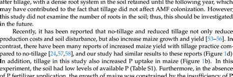 Effect Of The Inoculation Of Different Arbuscular Mycorrhizal Fungi
