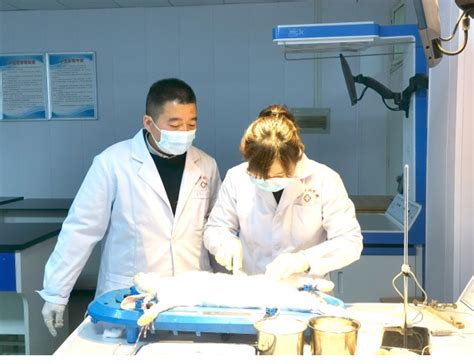 基础医学院生理学教研室对新进教师进行实验教学培训 基础医学院