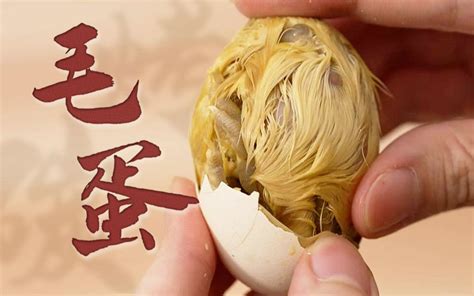 干净卫生好吃还便宜的活珠子和毛蛋到底有什么区别？ 哔哩哔哩