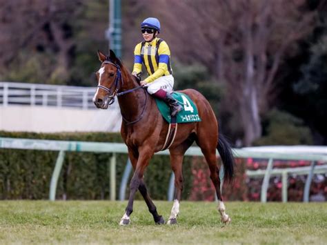 京成杯と弥生賞は似て非なるレース？ 中山芝2000mの両レースを徹底比較 競馬ニュース Netkeiba