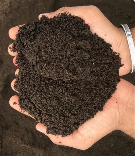 Cow Dung Compost At ₹ 5kg Organic Fertilizers And Manure In Manthani