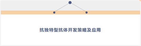 抗独特型抗体开发策略及应用 知乎