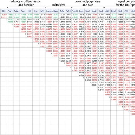 Relationship Between Relative Expression Levels Of Genes Gene