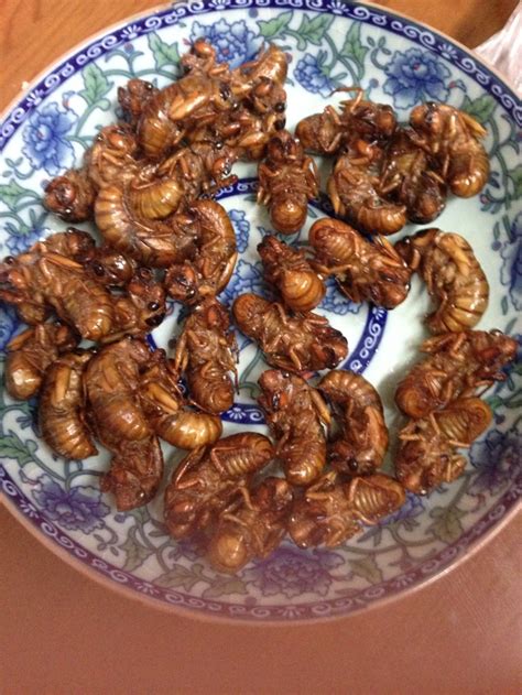 知了猴怎么做 知了猴的做法 豆果美食