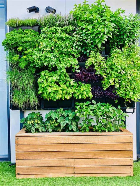 Planter Boxes Sydney Timber Garden Box OFF