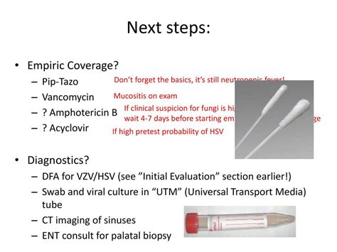 Febrile Neutropenia Ppt Download