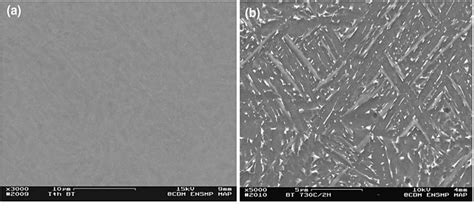 Figure 2 12 From Effect Of Heat Treatment On The Microstructure And