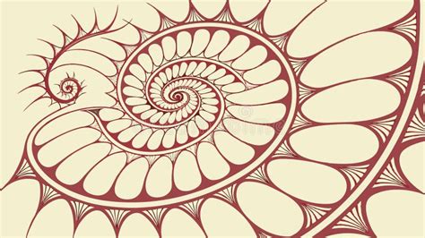 Spiral Shell Pattern Nautilus Shell Fibonacci Sequence Natural