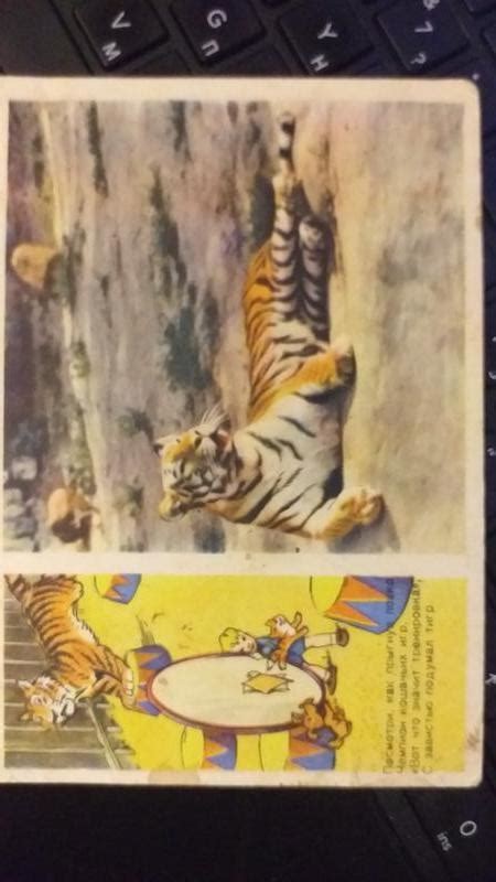 Листівка 1955 актуально — ціна 9 грн у каталозі Листівки і конверти Купити товари для дому та