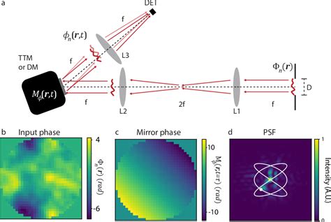 Figure 1 From Fast Single Pixel Modal Wavefront Sensing Using Neural