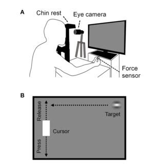 FIGURE Schematic Overview Of The Experimental Protocol The Study Was