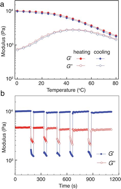Toward A Versatile Toolbox For Cucurbit N Uril‐based Supramolecular Hydrogel Networks Through In