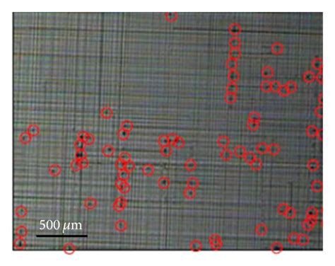 Etch Pit Test Results Of A Typical Sige On Si 100 Wafer With Ge