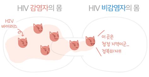 애널 섹스를 하면 정말 Aids에 걸리나요 연애의 과학