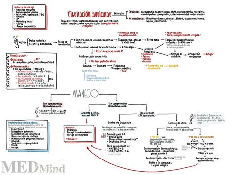 Fibrilación Auricular Med X Rosie Udocz