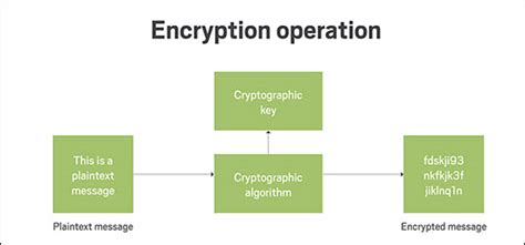 tokenization vs encryption learn differences between both experts