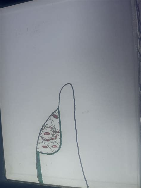 Devlog For Project Itch Io Devlog For Project Itch Io