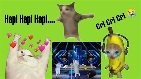 Happy Hapi Cat Banana Cat Cat Eating Crying Dancing And Going To Hospital Meme Template Starter