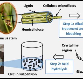 Overall Steps And Digital Images Of CNC Production Download Scientific Diagram