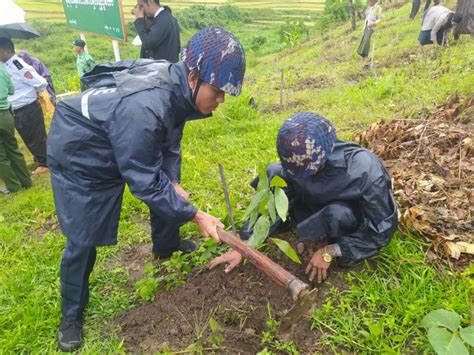 မိုင်းခတ်၌ ၂၀၂၃ ခုနှစ် မိုးရာသီစုပေါင်းသစ်ပင်စိုက်ပျိုးပွဲတော်ကျင်းပ Information And Public
