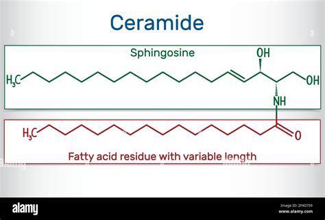 Ceramide Sphingosine