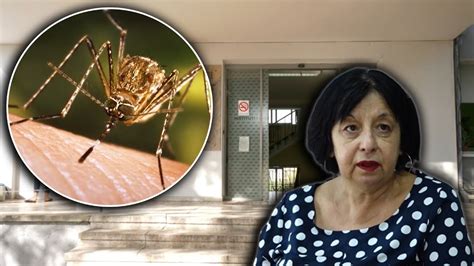 Rikthehen Pas 13 Vitesh “ethet E Nilit” Në Shqipëri Raportohen 3 Viktima Ja Sa Persona Janë Të