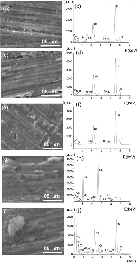 Sem Micrographs And Eds Spectra Of The Untreated Ti 35nb 4sn Alloy Sem Download Scientific